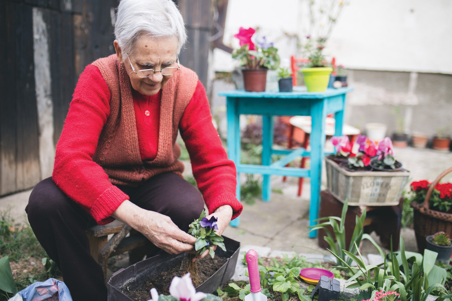 Growing an Eternal Legacy • Message Magazine