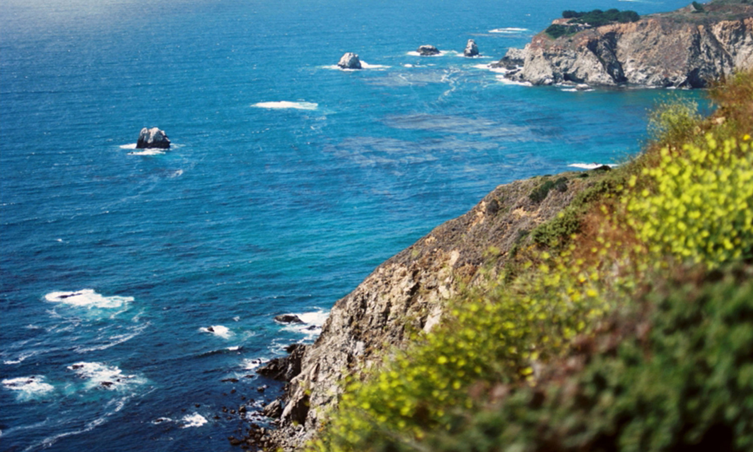 Big Sur • Wanderlust