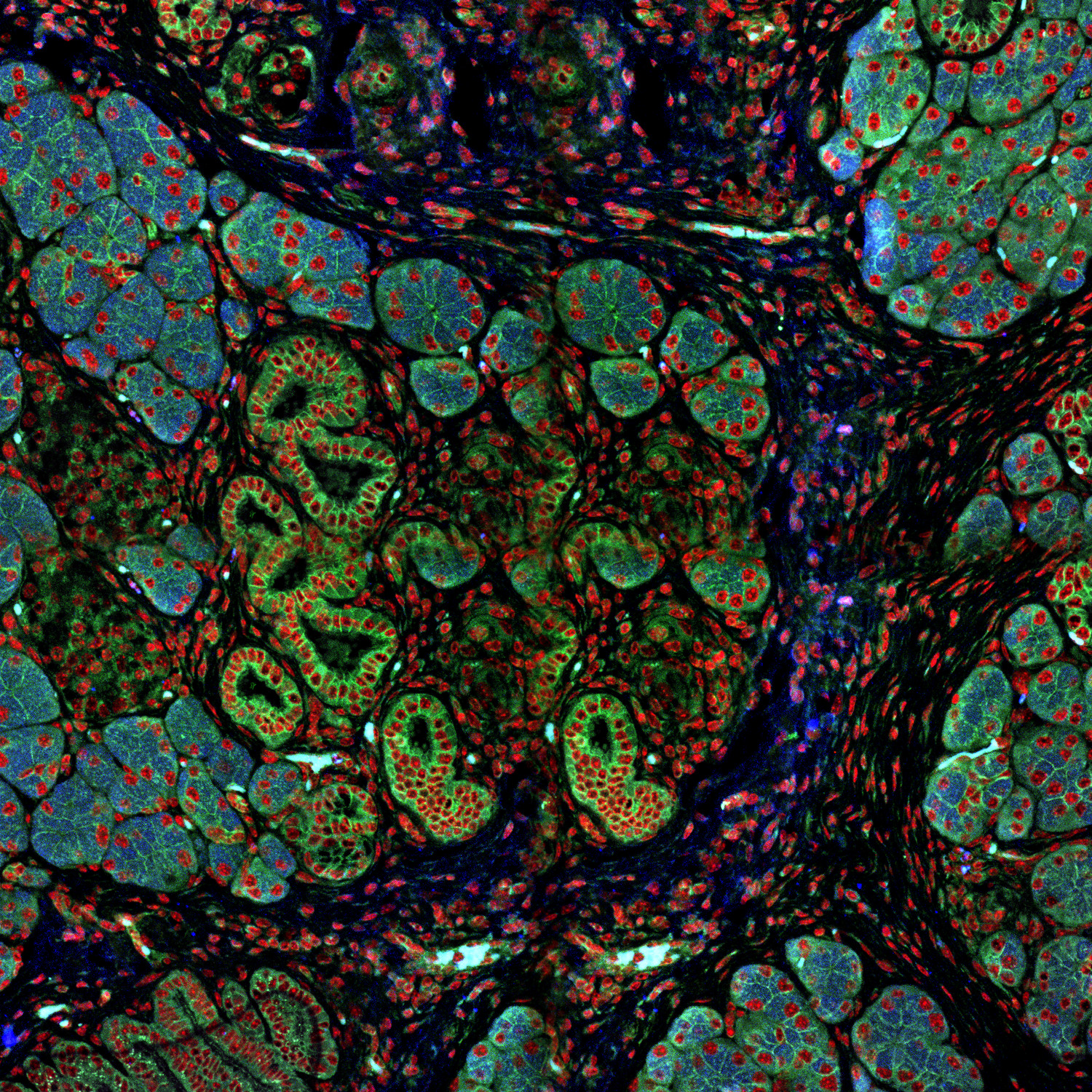 Big answers on a micro scale • Discovery