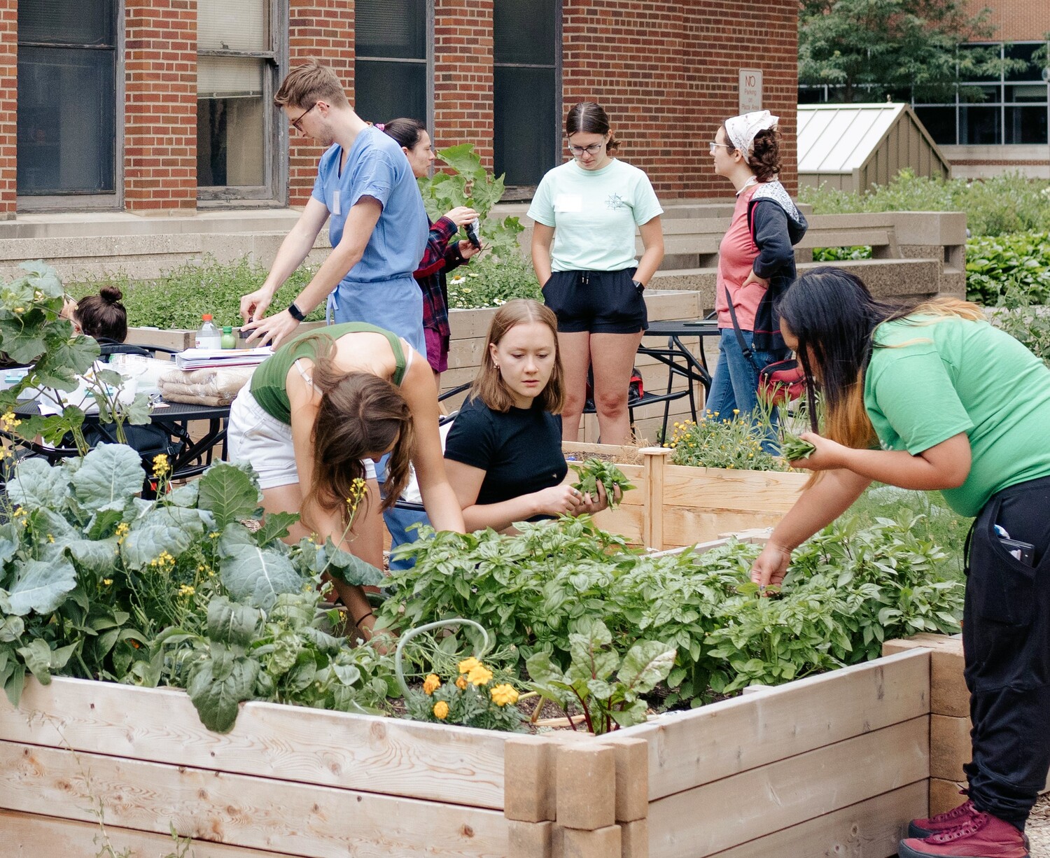 Cultivating connection • Discovery