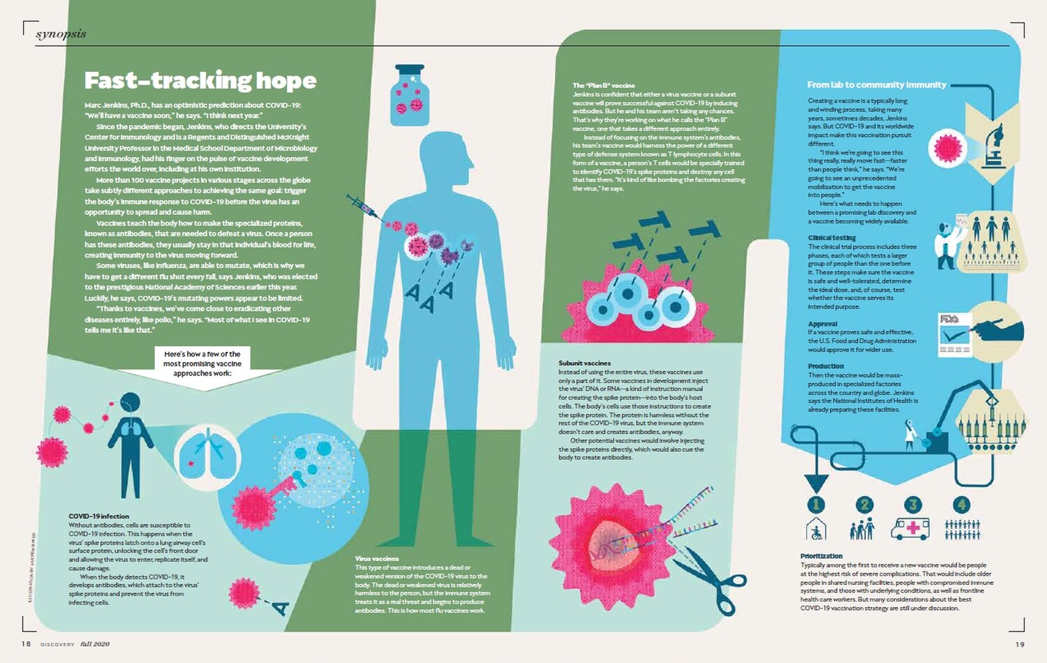 From lab to community immunity • Discovery