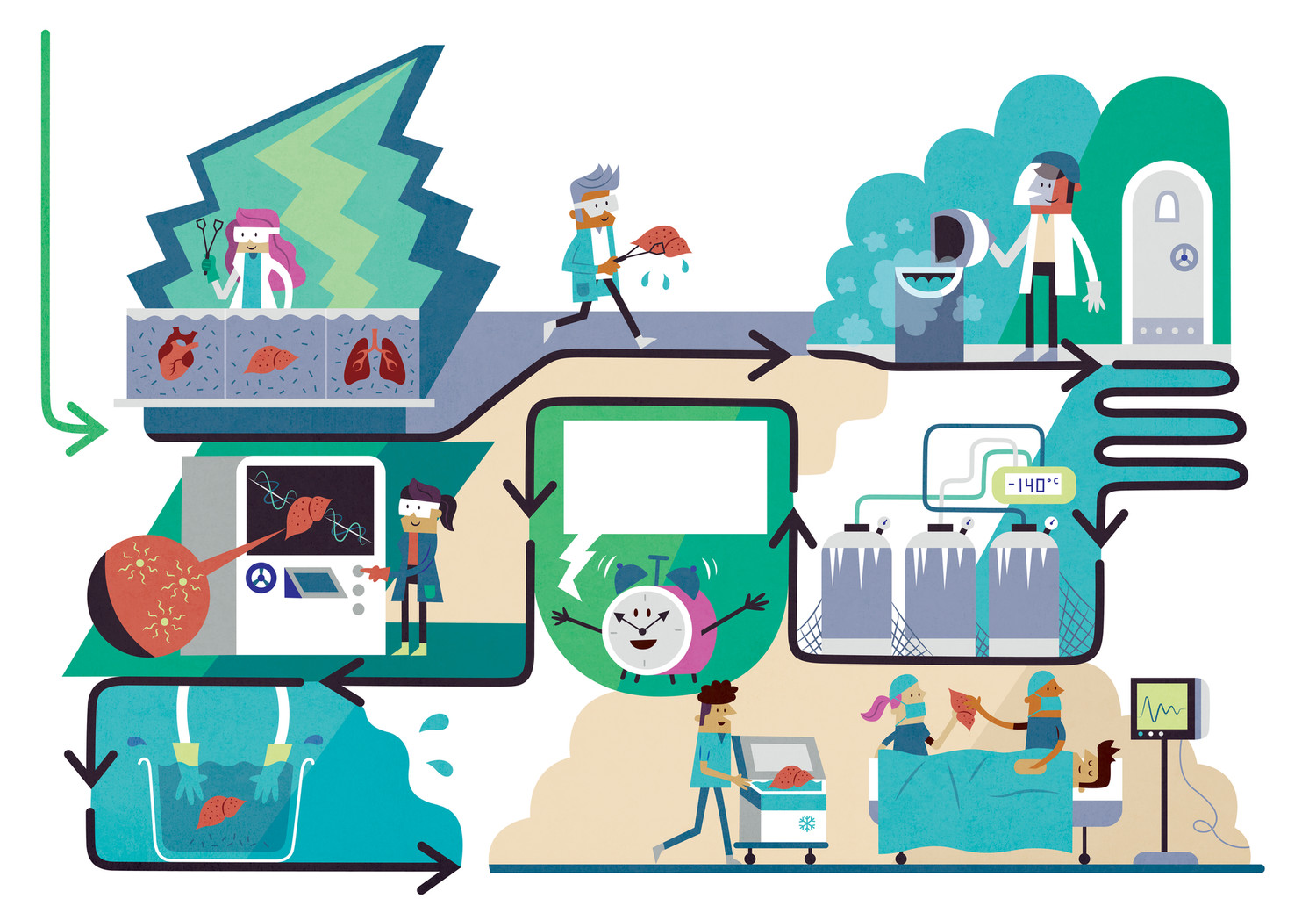 Freezing time for organ transplantation • Discovery