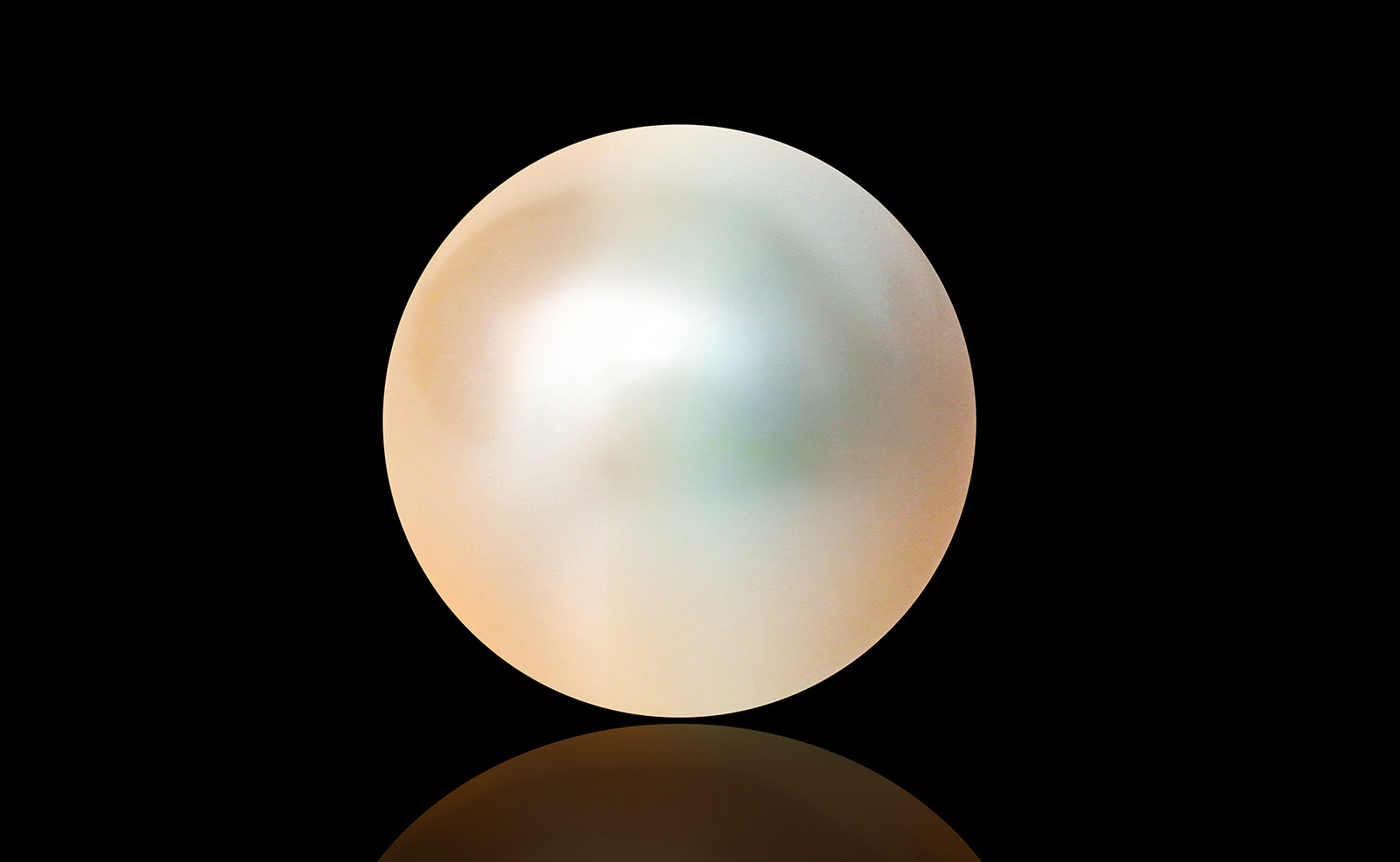 The Promise of the Pearl • Teachers of Vision