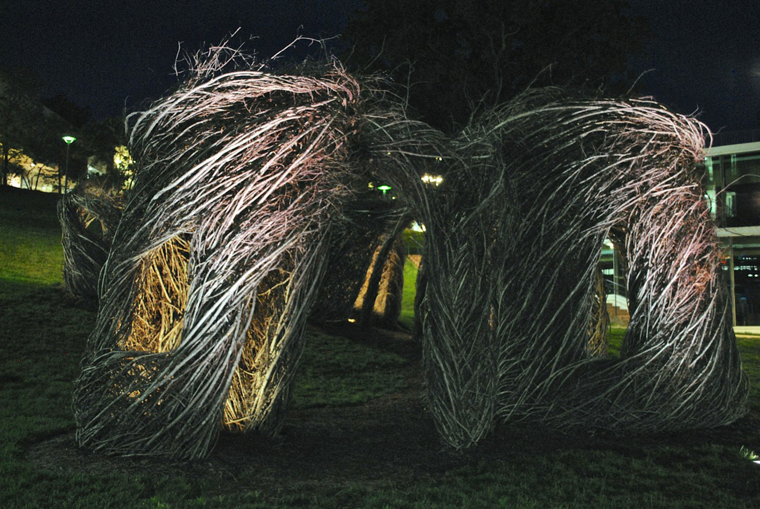 Patrick Dougherty's On the Fly • UVA Arts